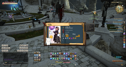 FFXIV Instant Portraits Explained FFXIV Instant Portraits Explained