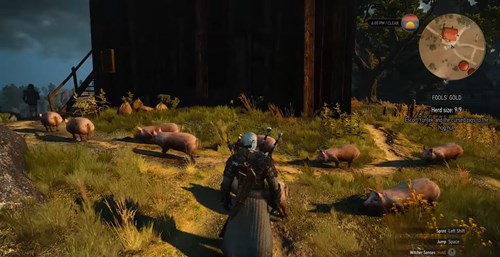 The Witcher 3 Fools Gold Walkthrough